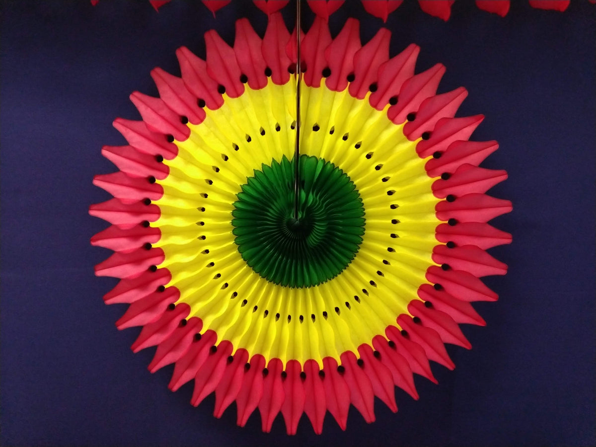 6-Piece Rasta Themed Honeycomb Decoration Set - Made in USA – Devra ...